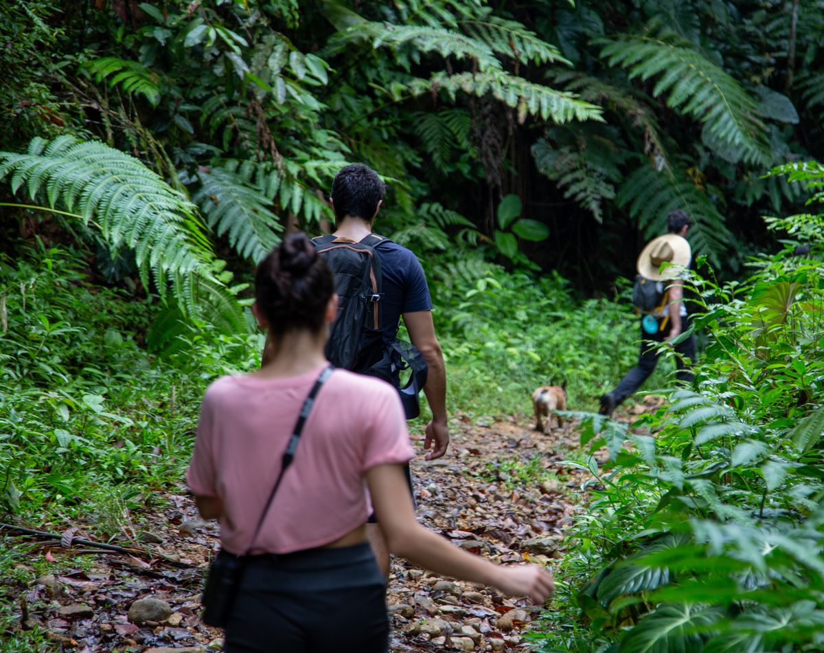 valle de tenza, garagoa, macanal y san Luis de Gaceno.