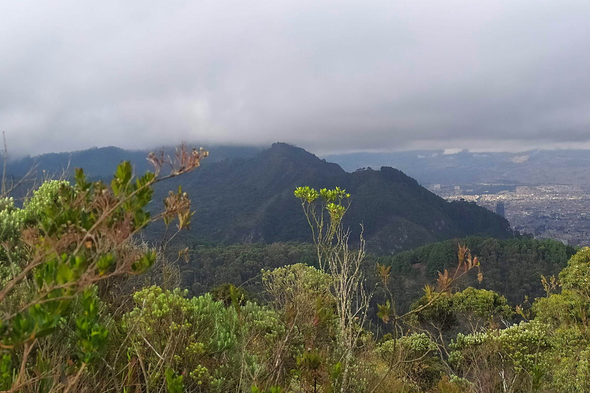 Miércoles de Montaña en los Cerros Orientales de Bogotá