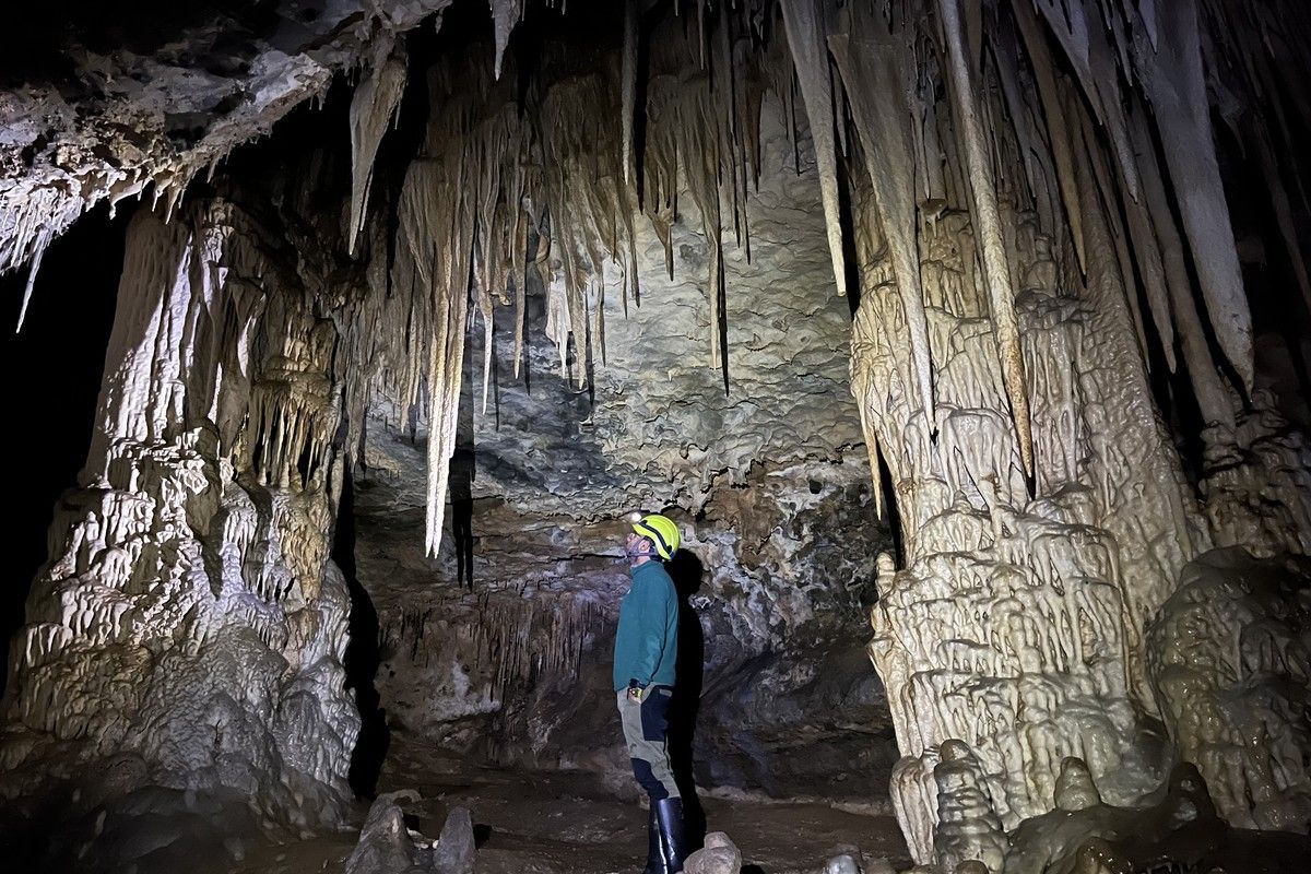 Espeleología Aventurada en Bosque Pandora, Peñas Blancas