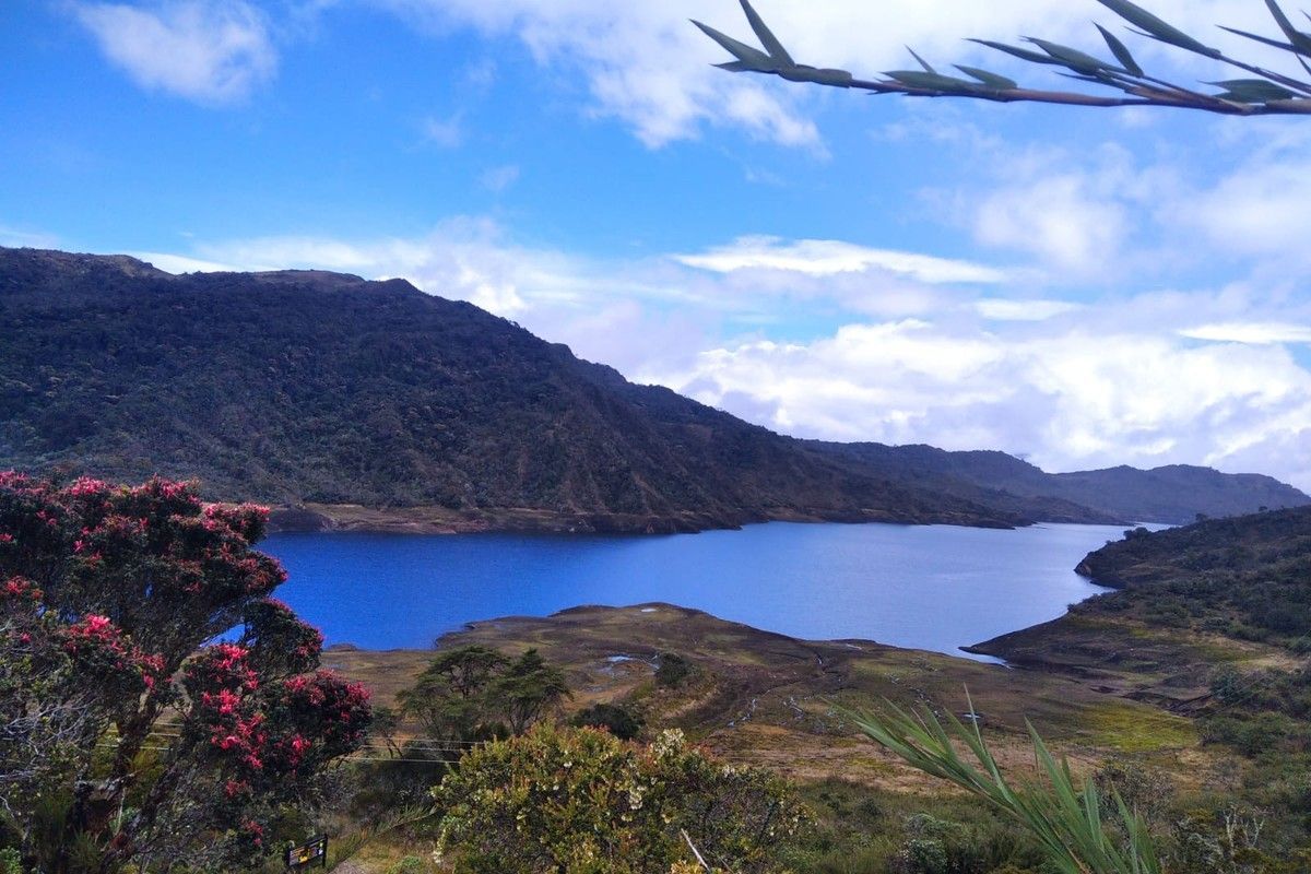 Two-day tour of the PNN Chingaza from Bogotá