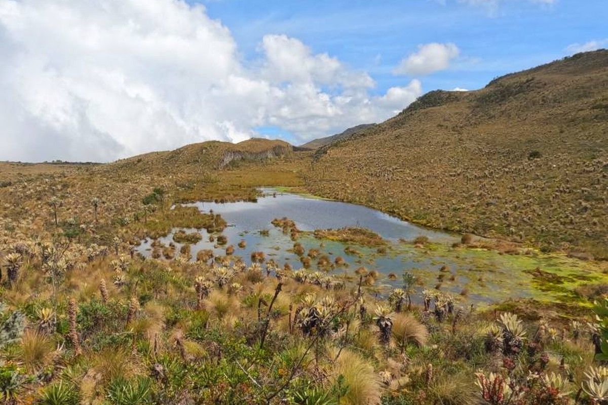 Trekking Ruta la Estrella en el páramo de Guerrero